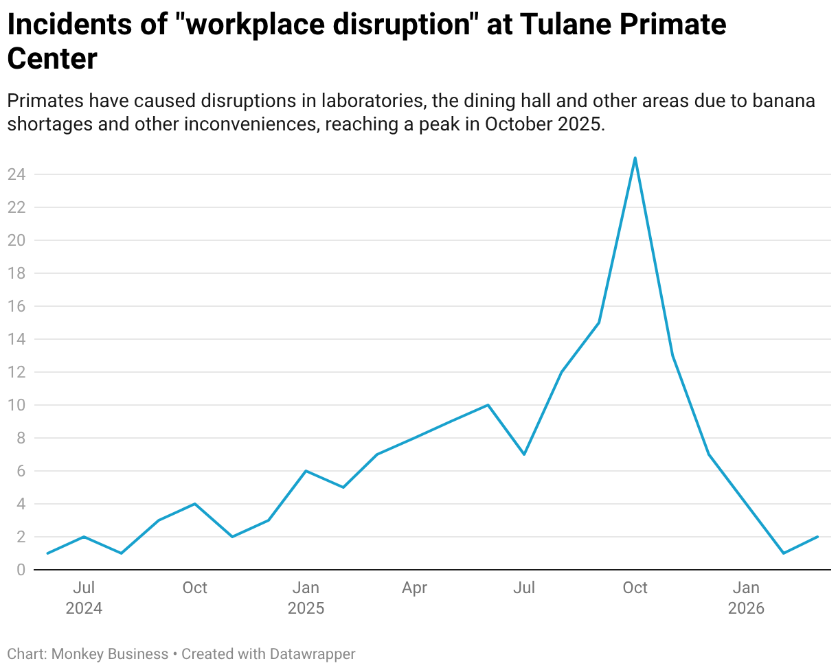 FULLABALOO | Monkeys unionize, Tulane Primate Center expands to former ...