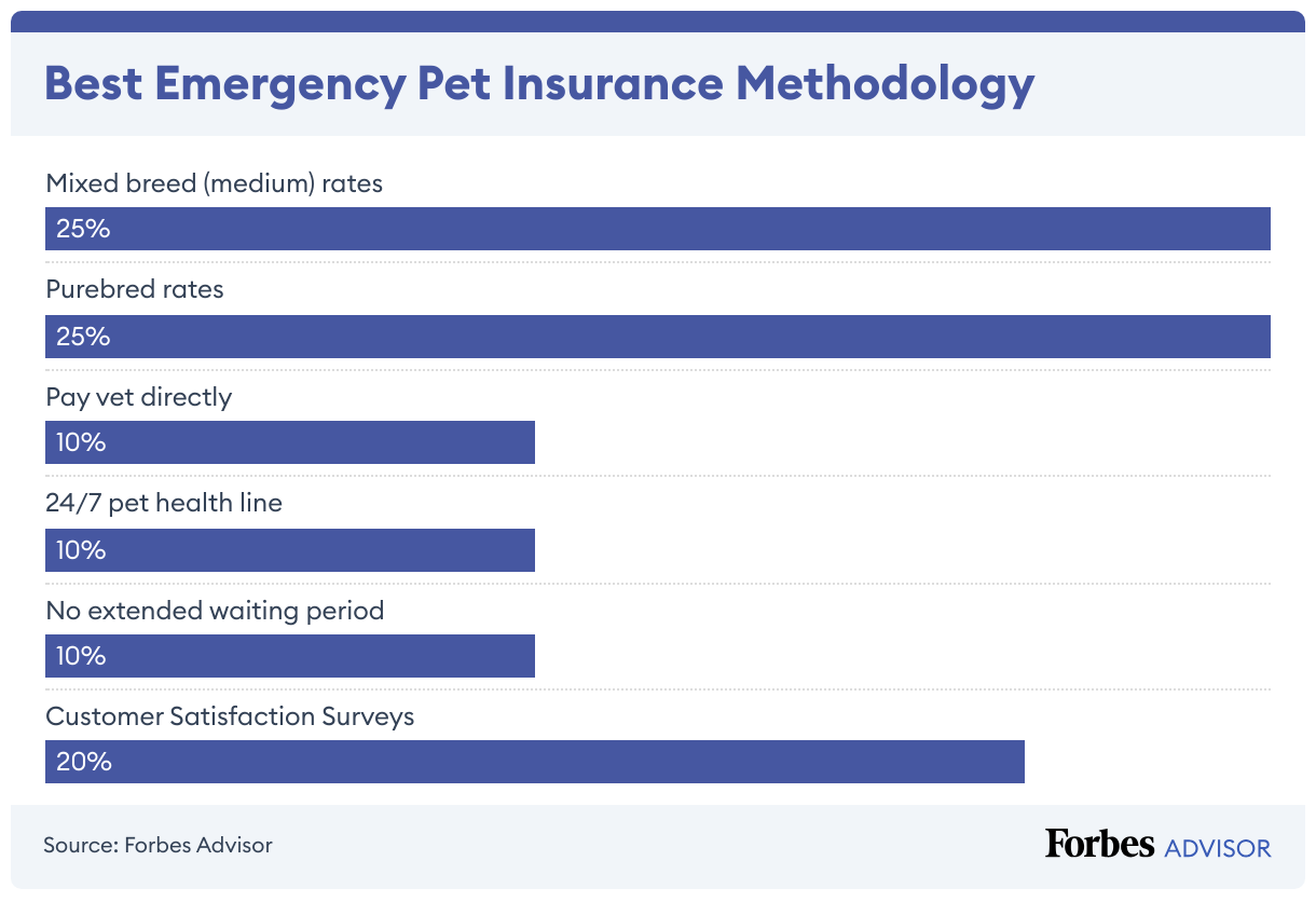 Best Emergency Pet Insurance – Forbes Advisor
