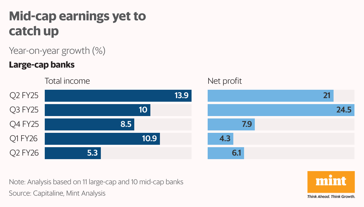 Mid-cap banks are back in favour. But only a few will ride the next rally.