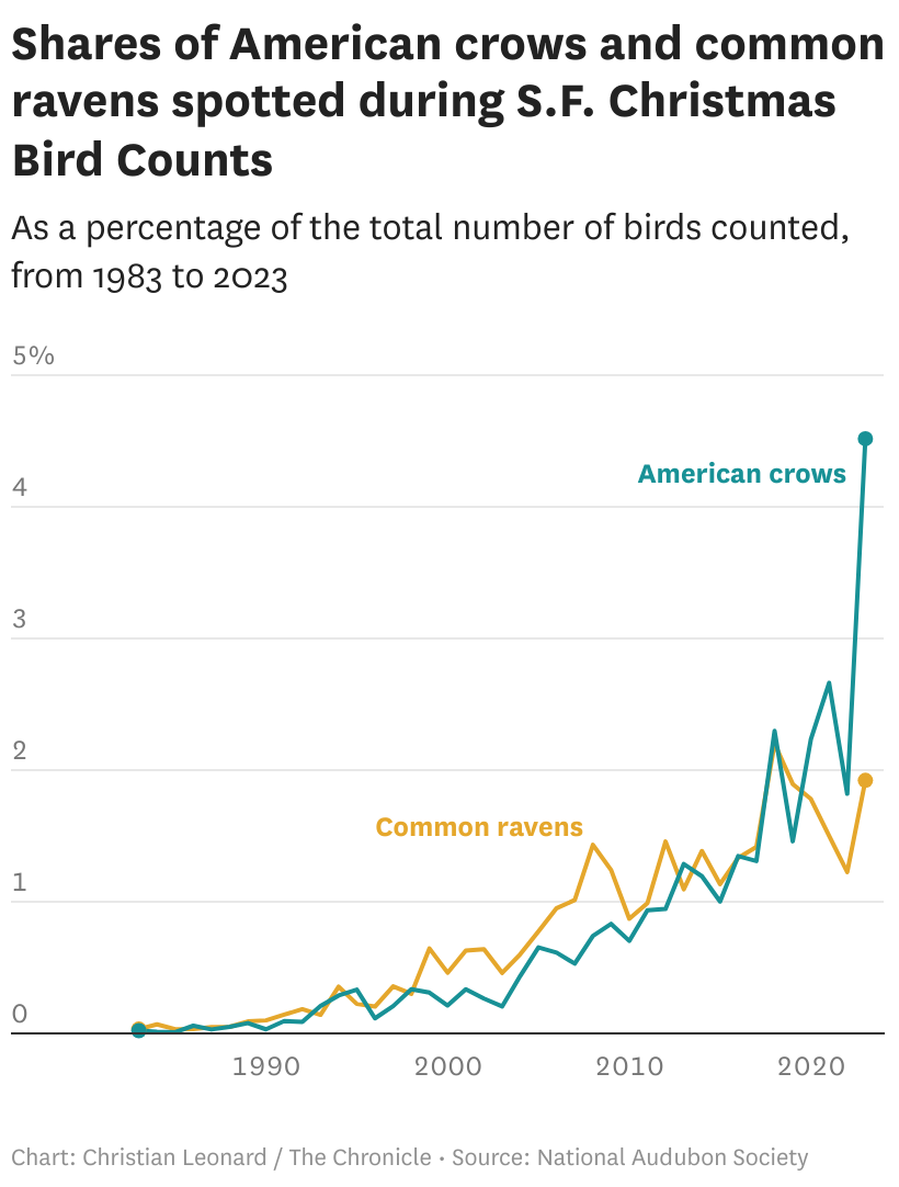 “San Franciscrow”: Why S.F. is now teeming with crows