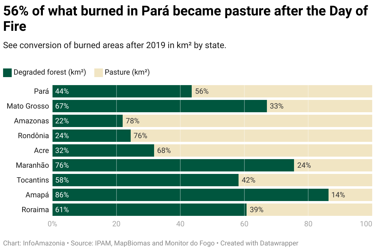 The Day of Fire, three years later: over half of the forest burned in ...