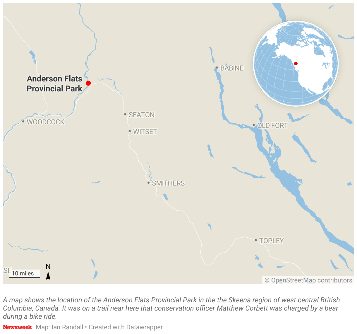 Man Punches Mama Bear In Face To Escape Grizzly Attack - Newsweek