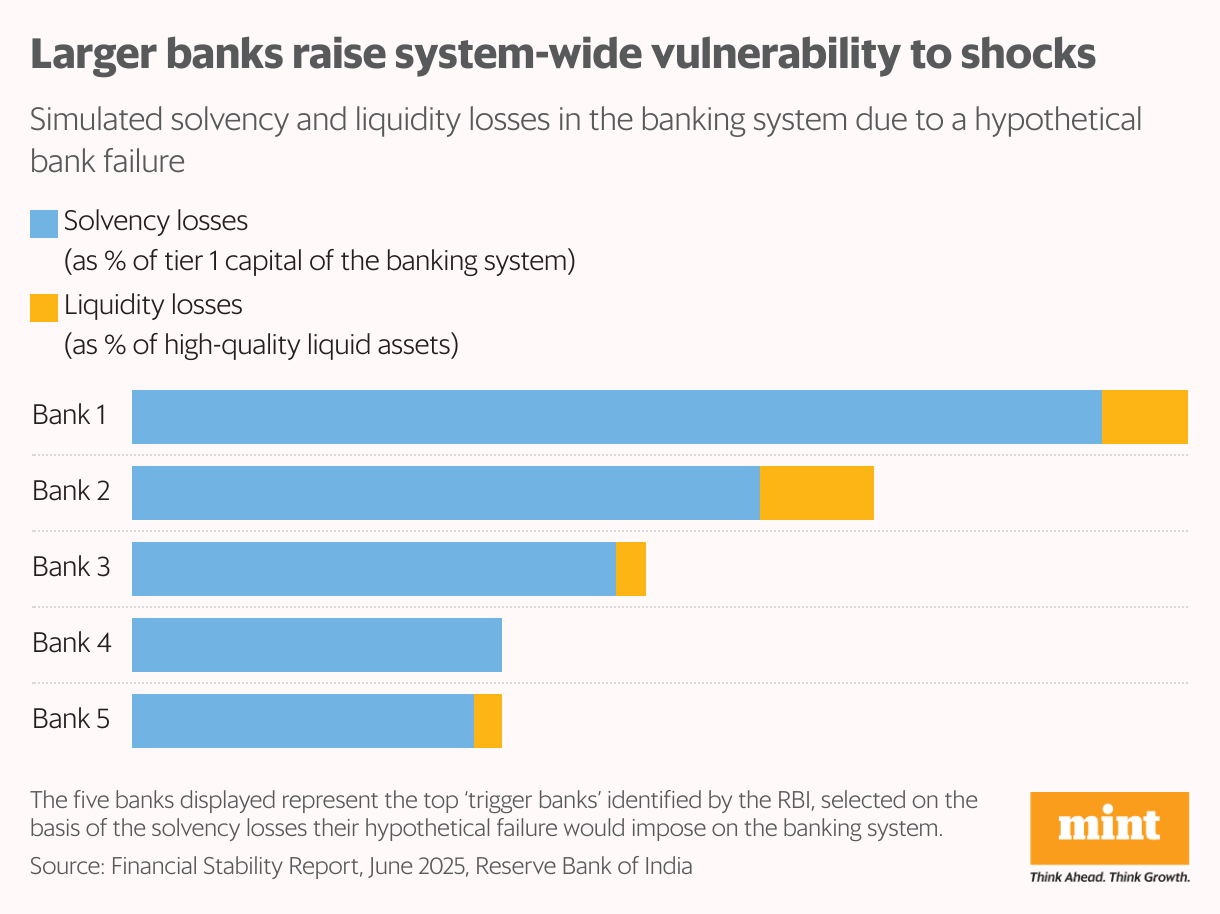 Mega PSU bank merger plan: Can India do it without amplifying risks?