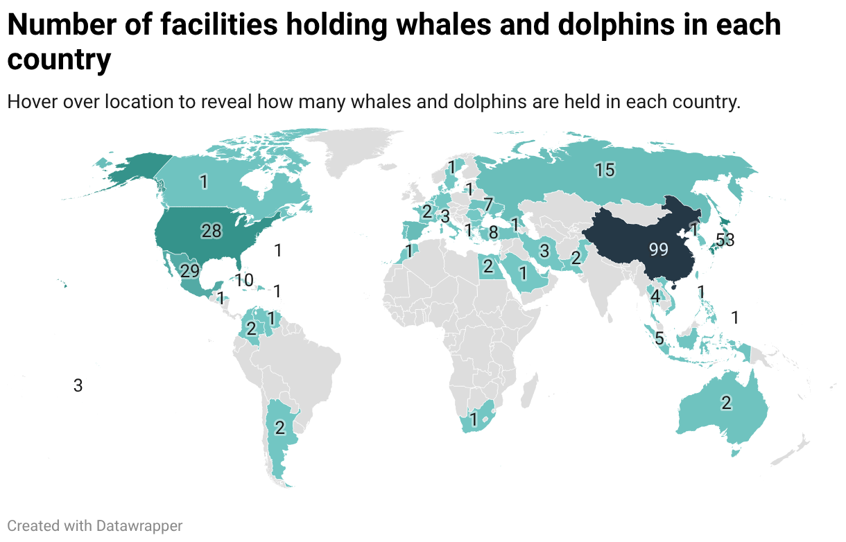 How many whales and dolphins are held in captivity? - Whale and Dolphin ...