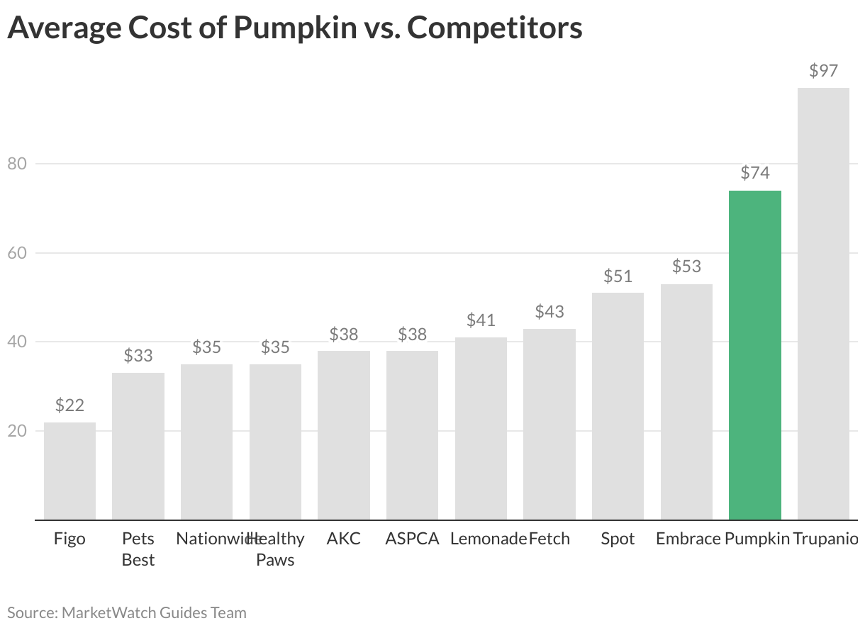 Pumpkin Pet Insurance Review and Pricing (2025)