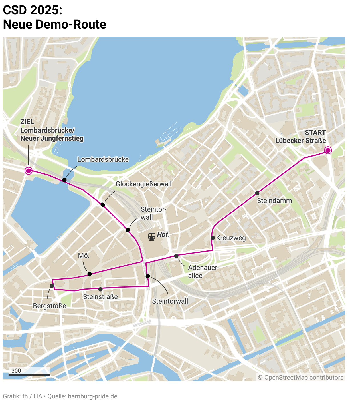 CSD 2025 in Hamburg: Streit bei Infoabend zu neuer Route – „Gespräch ...