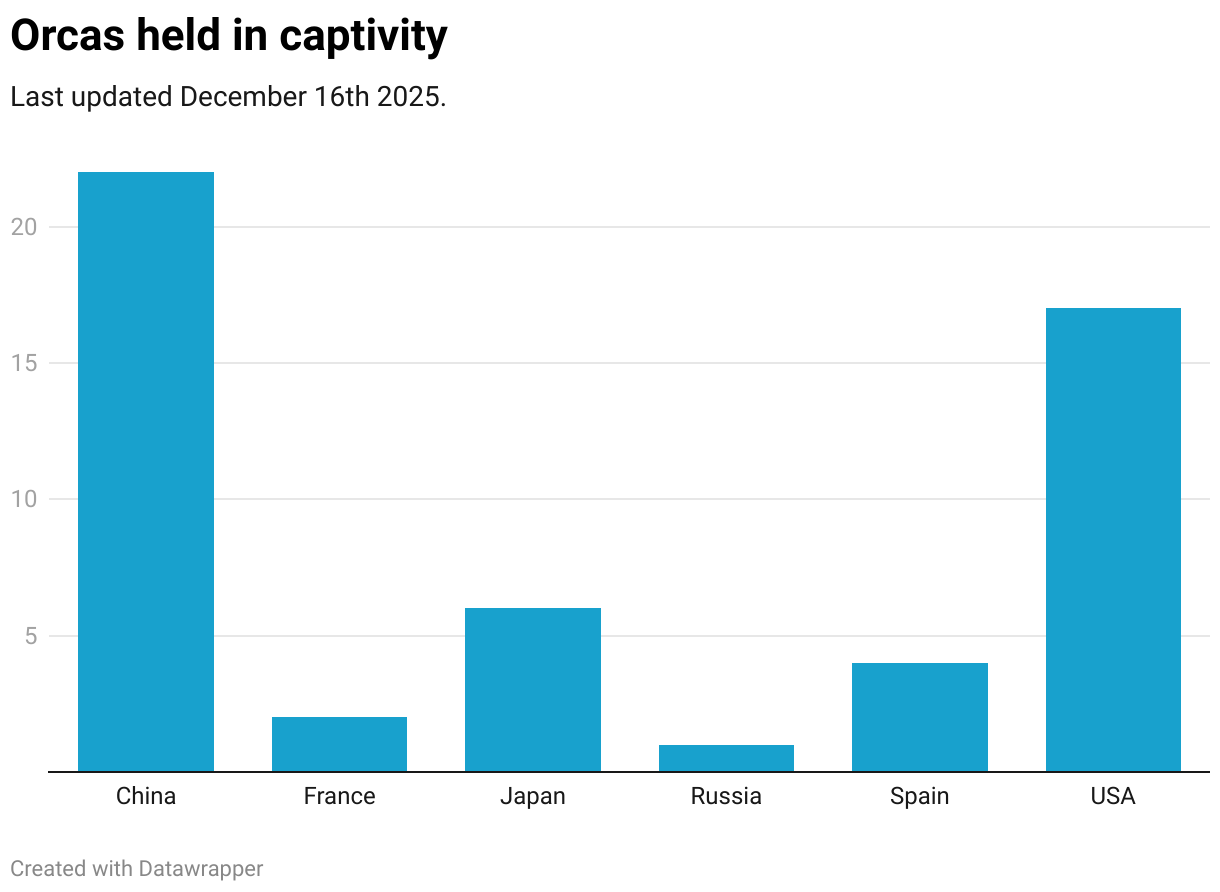 Fate of orcas in captivity - Whale & Dolphin Conservation Australia