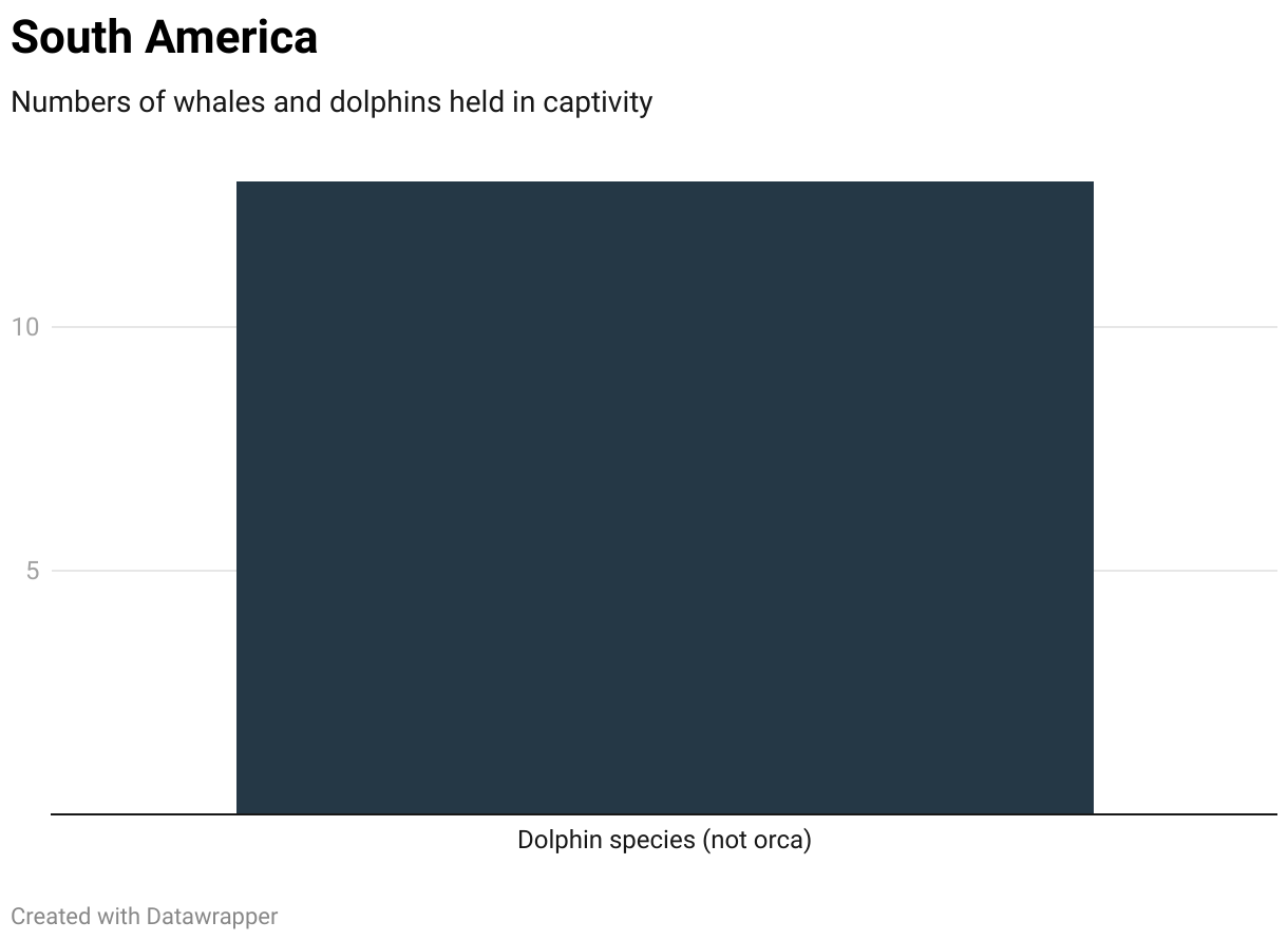 How many whales and dolphins are held in captivity? - Whale & Dolphin ...