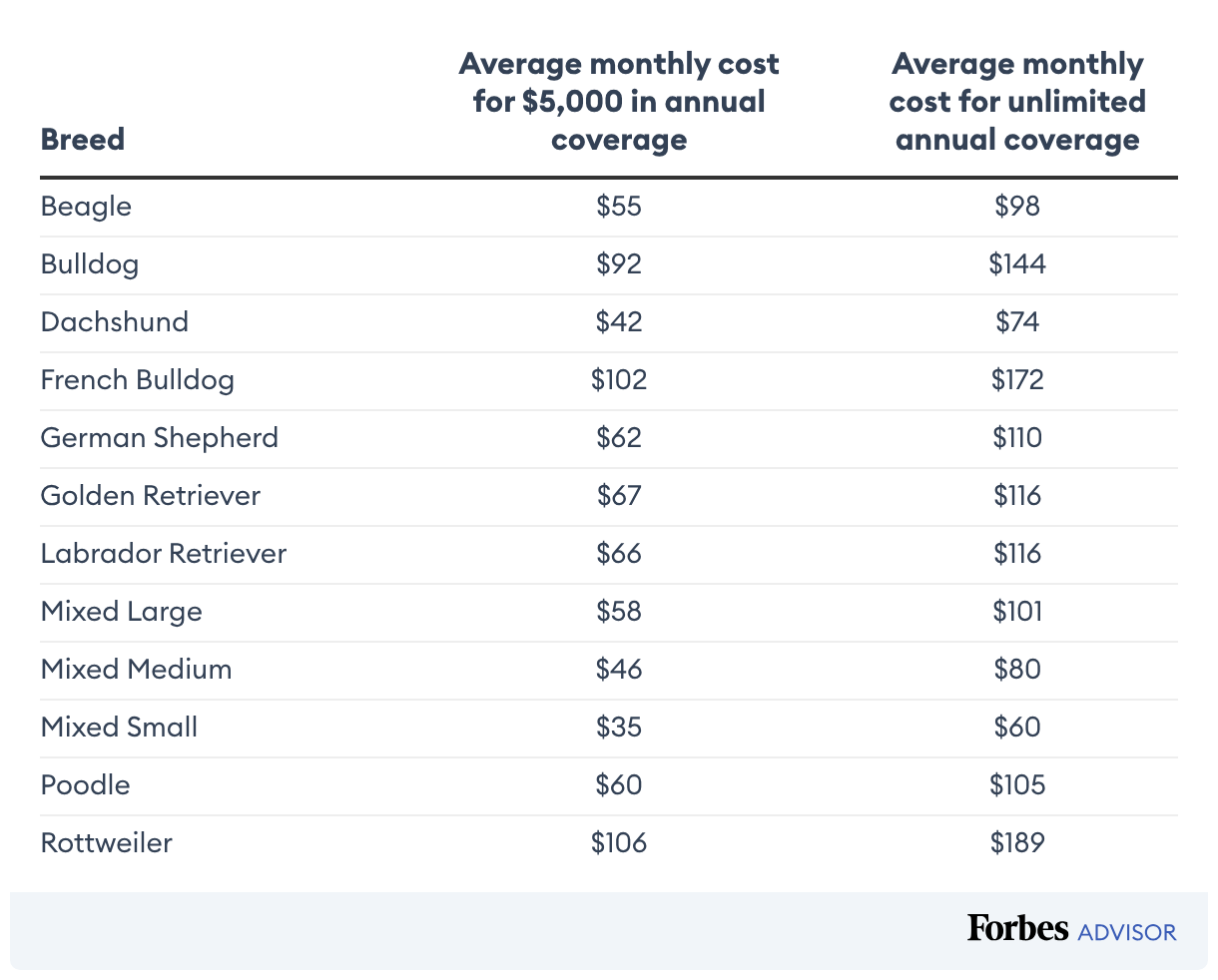 Best Pet Insurance in New Hampshire 2026 – Forbes Advisor