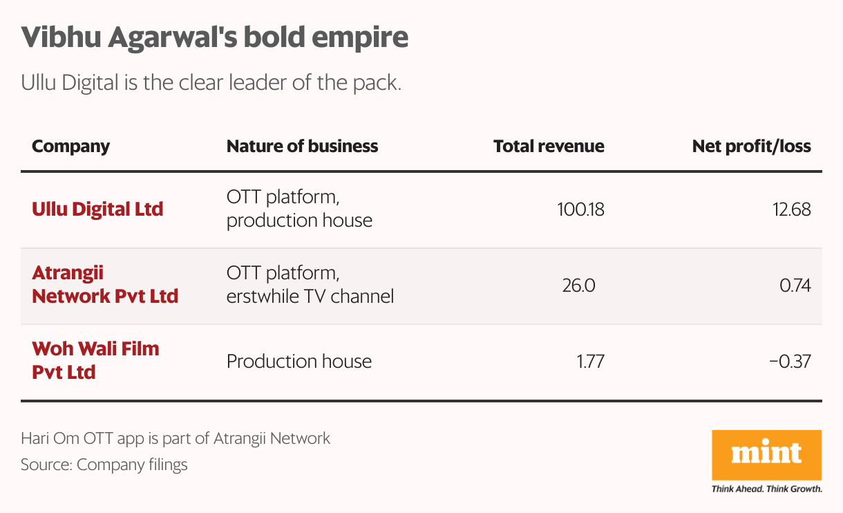 Vibhu Agarwal, and the hard landing of his ₹100 crore soft-core empire