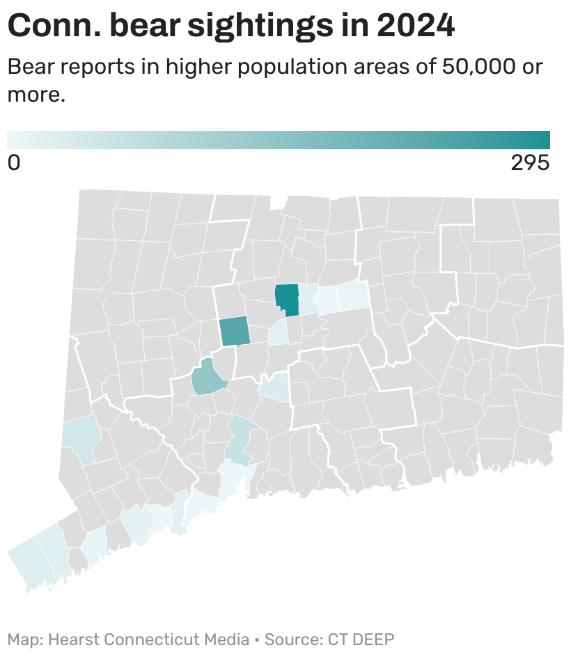 CT blacks bears are quickly increasing in towns big and small