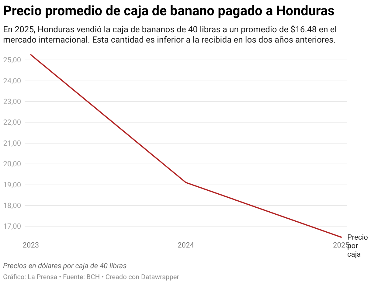 Exportaciones de banano caen más de 22%